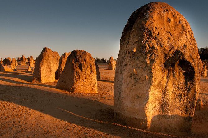 Pinnacles & Rottnest Island Scenic Air & Ground Tour - Key Points