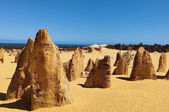 Pinnacles+Lancelin Sand Dune Impression Day Tour from Perth - Final Thoughts