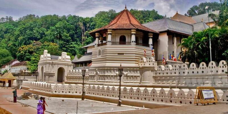 Pinnawala & Kandy Day Tour from Negombo - An In-Depth Review of the Pinnawala & Kandy Tour