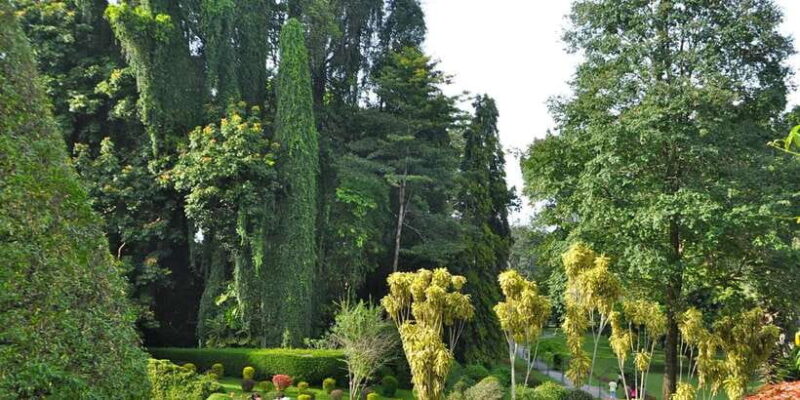 Pinnawala & Kandy Day Tour from Negombo - Final Thoughts