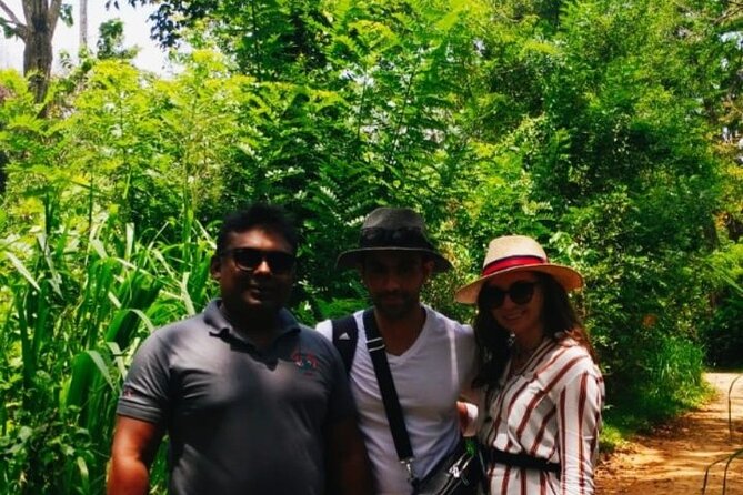 Pinnawala private day trip from colombo or negombo - A Deep Dive into the Tour Experience