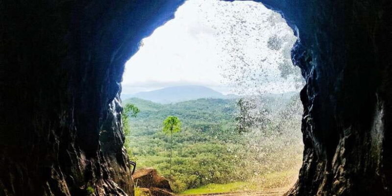 Pinnawala Rambukkana: Hidden Gem Tour - What To Expect During the Day