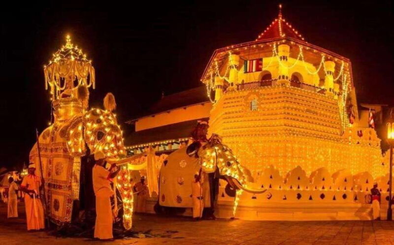 Pinnawala,Kandy Day Tour from Colombo/Negombo - Key Points