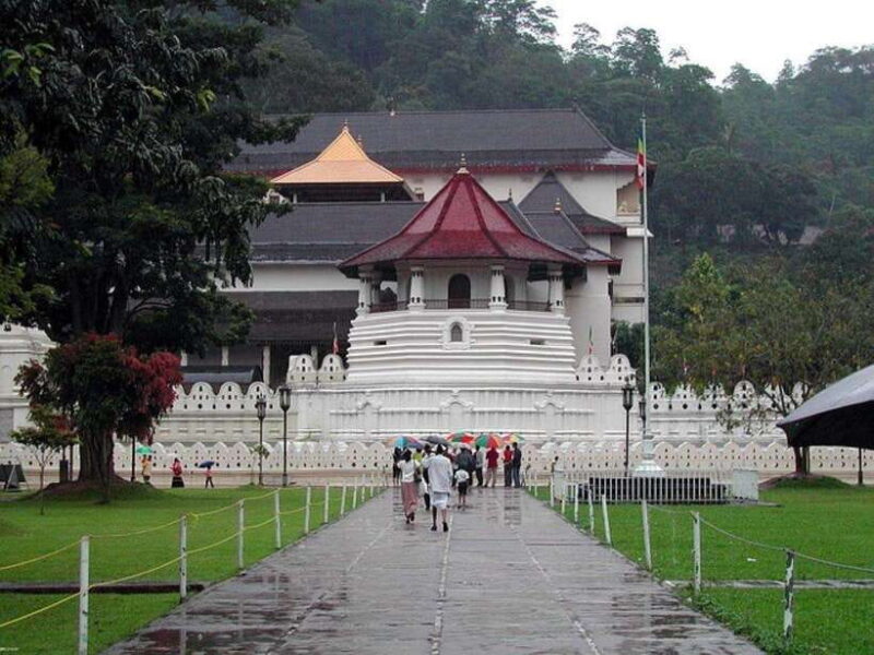 Pinnawala,Kandy Day Tour from Colombo/Negombo - A Closer Look at the Itinerary