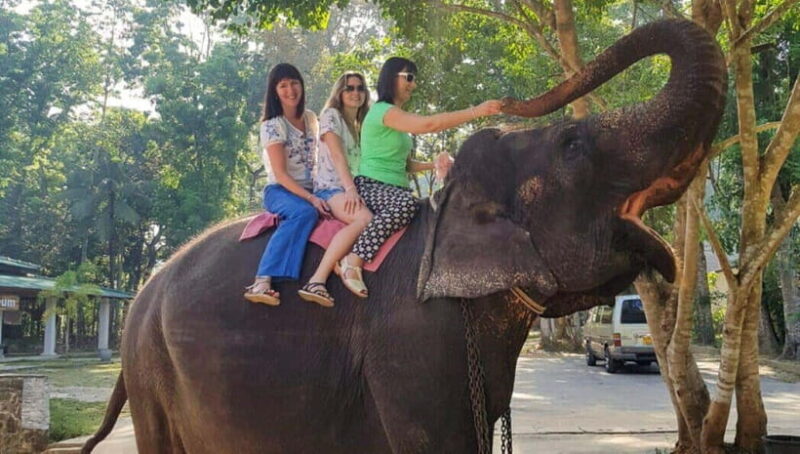 Pinnawala,Kandy Day Tour from Colombo/Negombo - Real Traveler Feedback