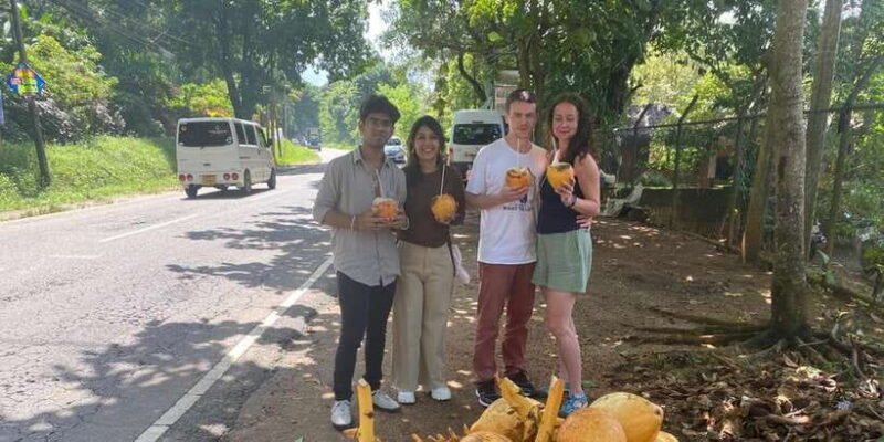 Pinnawala,Kandy Day Tour from Colombo/Negombo - Practical Tips for Travelers