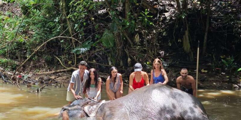 Pinnawala,Kandy Day Tour from Colombo/Negombo - The Sum Up