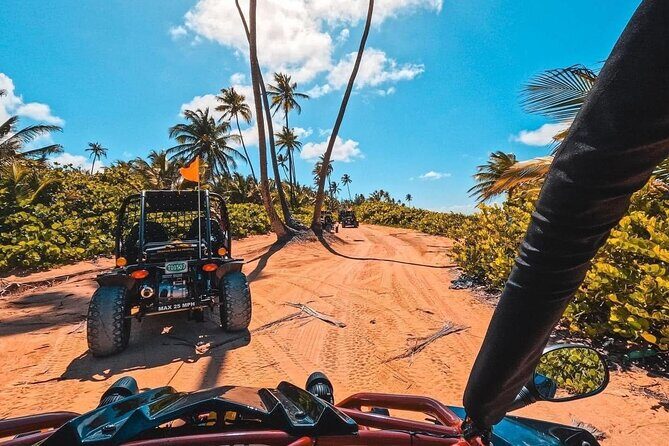Piñones Beach Buggy + El Yunque Waterfall Adventure - A Closer Look at the Itinerary: What to Expect