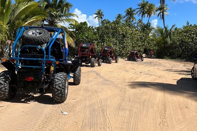 Piñones Beach Buggy + El Yunque Waterfall Adventure - Practical Tips and Considerations