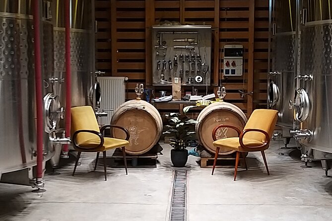 Pinot Noir & Pinot Wine Tour to Baden-Württemberg - What Makes This Tour Stand Out?