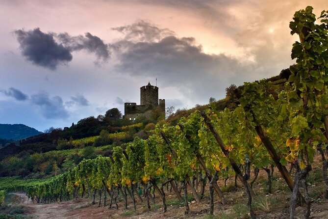 Pinot Noir & Pinot Wine Tour to Baden-Württemberg - The Sum Up