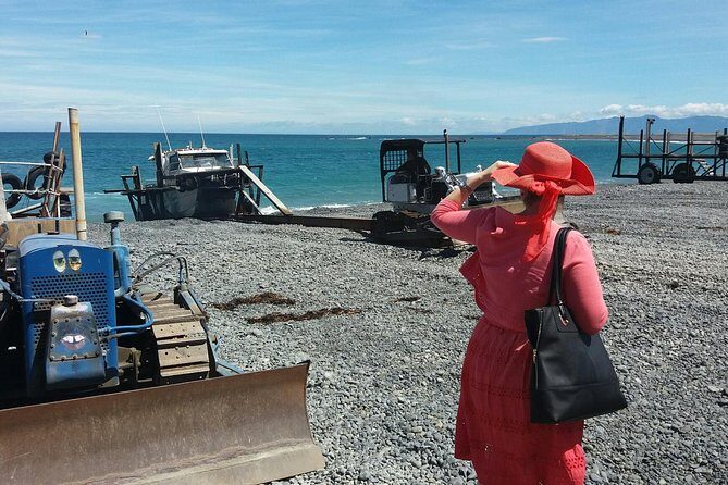 "Pinot to Palliser tour" - Guided tour to Cape Palliser vith lunch + winetasting - Why Travelers Love the Pinot to Palliser Tour