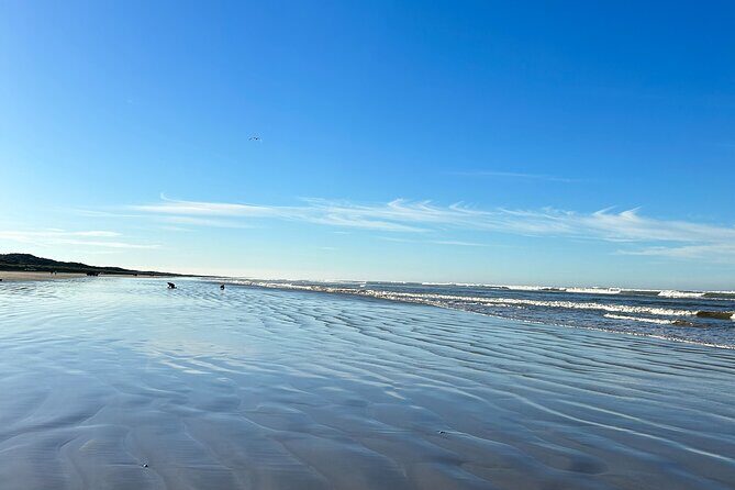 Pipi Catching and Cooking Experience in Goolwa - Who Should Consider This Tour?