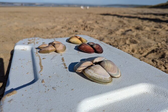 Pipi Catching and Cooking Experience in Goolwa - FAQs