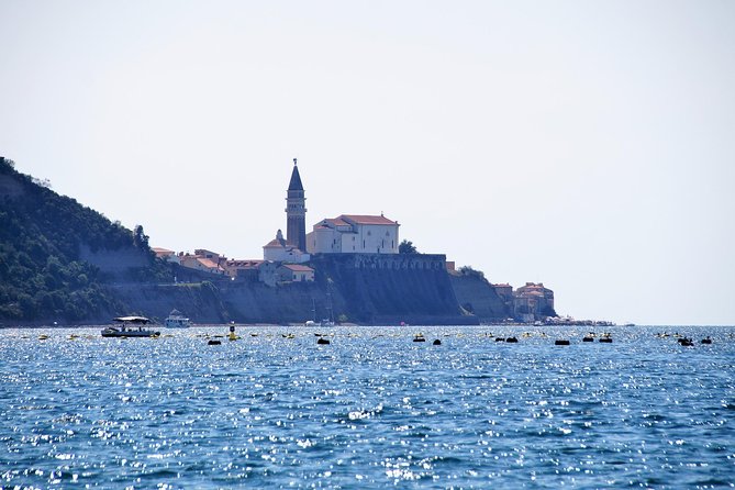 Piran and Portoroz Pearls of the Slovenian Adriatic Coast Half Day Trip From Ljubljana - Participant Information
