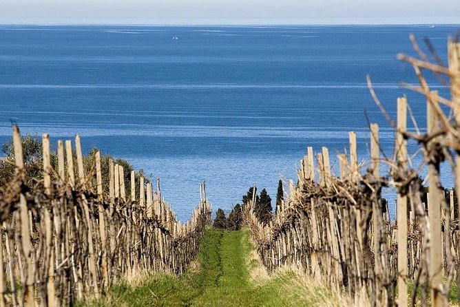 Piran and Scenic Slovenian Coast-Private Experience From Koper - Scenic Stops Along the Slovenian Coast