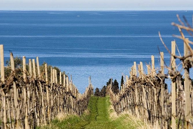 Piran and Scenic Slovenian Coast-Private Experience From Koper - Transportation and Accessibility for the Tour