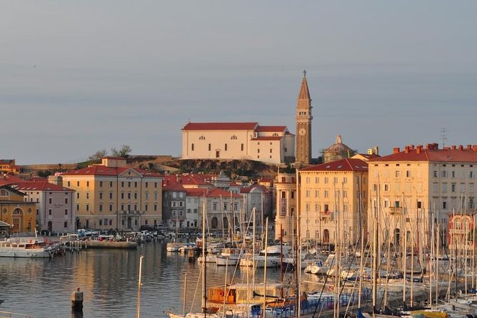 Piran and Scenic Slovenian Coast - Private Tour From Trieste - Customizable Itineraries for Your Perfect Tour