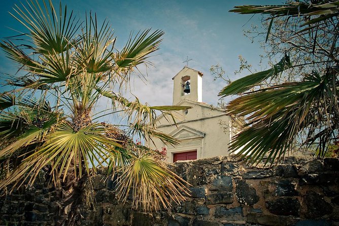 Piran and Scenic Slovenian Coast - Private Tour From Trieste - Comfortable and Convenient Transportation