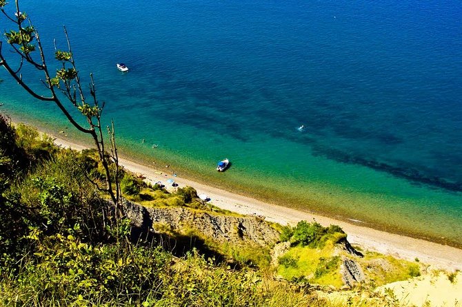 Piran and Scenic Slovenian Coast - Private Tour From Trieste - Accessibility Features for All Travelers