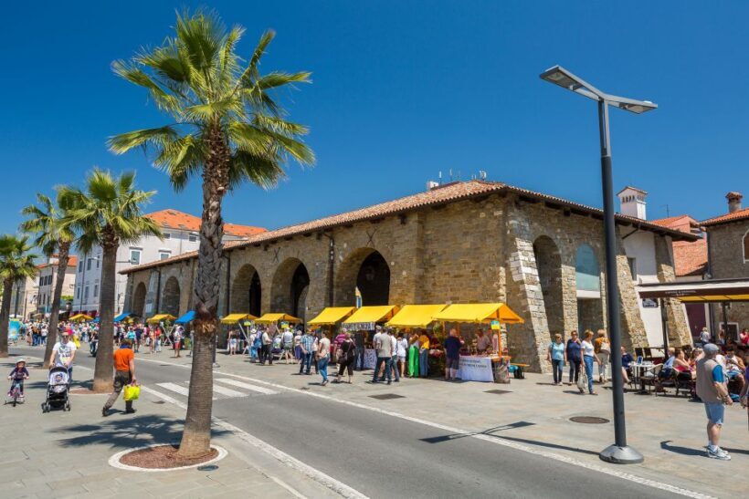 Piran and Slovenia Coast Tour from Trieste - Key Points