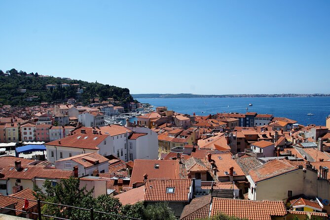 Piran & Panoramic Slovenian Coast - Small Group Tour from Koper - FAQ