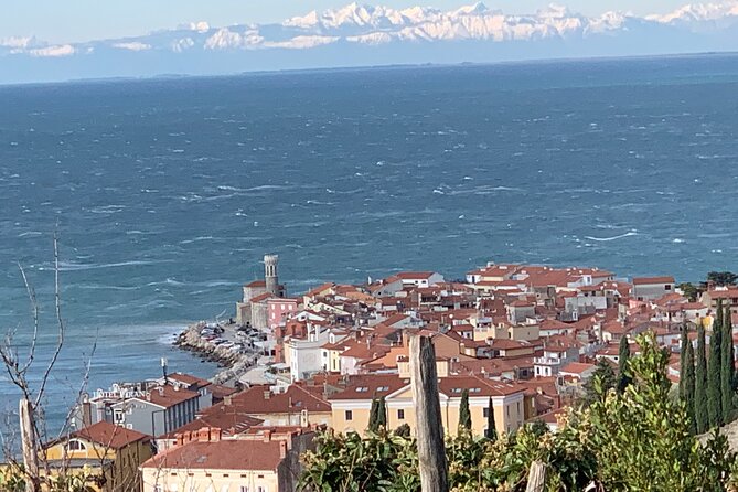 Piran & Panoramic Slovenian Coast Tour (up to 8 persons) - An In-Depth Look at the Piran & Panoramic Slovenian Coast Tour