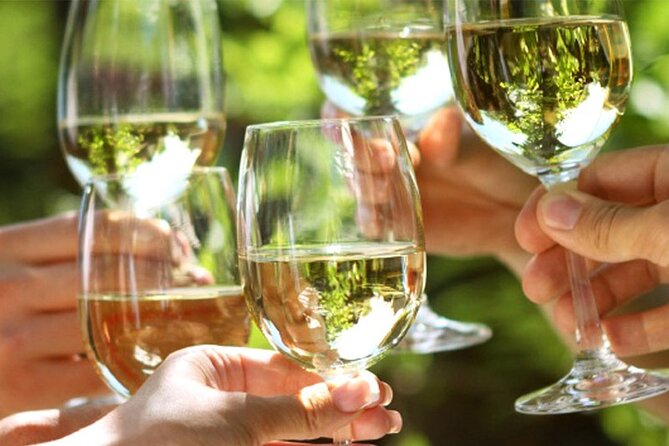 Piran wine & food walking tour - Key Points