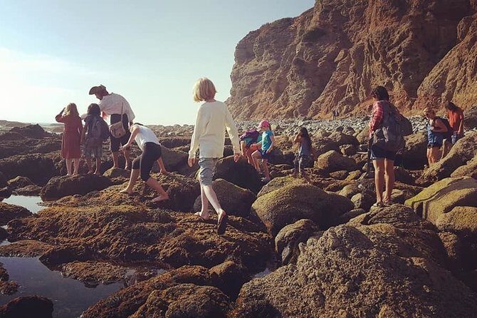 Pirate Sea Cave Tide Pool Walk at Dana Point - FAQ