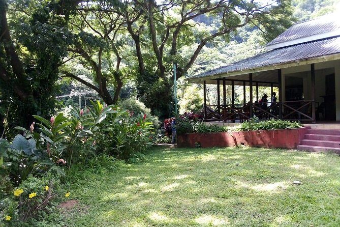 Pirates and Beach Tour with Detention Tours - Who Will Love This Tour?