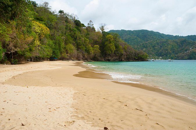 Pirate's Bay Day Trip with Lunch - Who Should Consider This Tour?