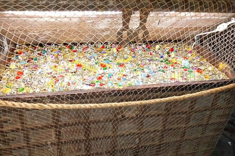 Pirates! Legends of the Gulf Coast - Who Should Consider This Tour?