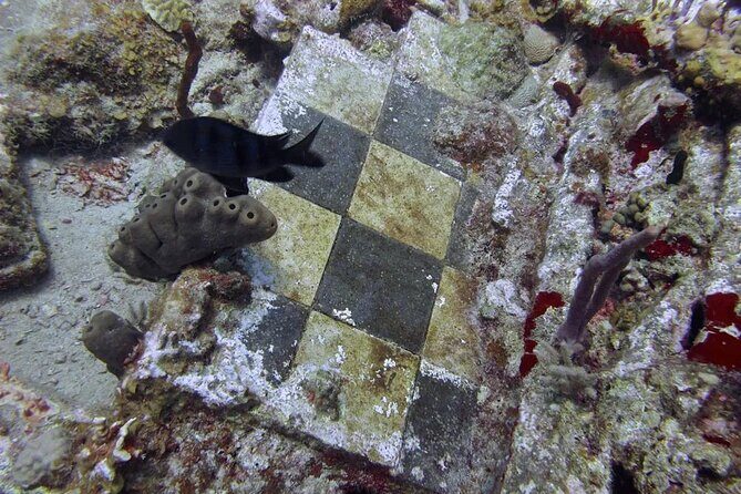 Pirates & Ports - self guided mobile quest for sailors in the BVI - Who Will Love This Tour?