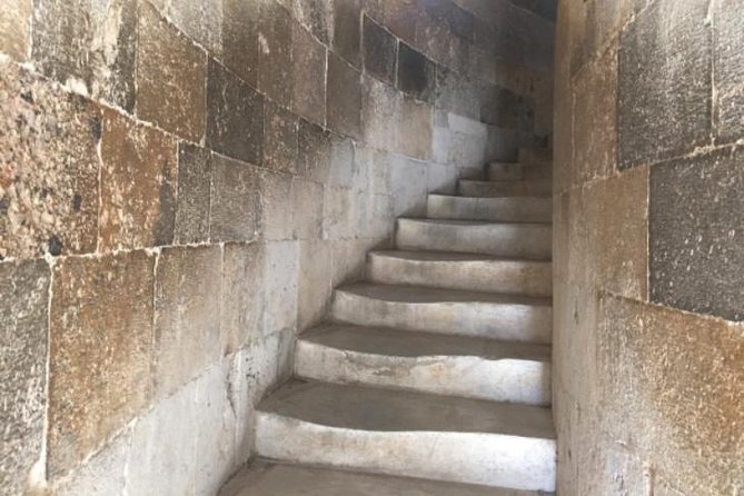 Pisa and Florence Port Tour (Driver Only/Self Touring) - Is This Tour Worth It?