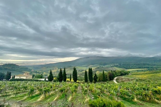 Pisa and Florence: Shore Excursion From La Spezia Cruise Port - Why Choose This Shore Excursion: Recommendations and Benefits