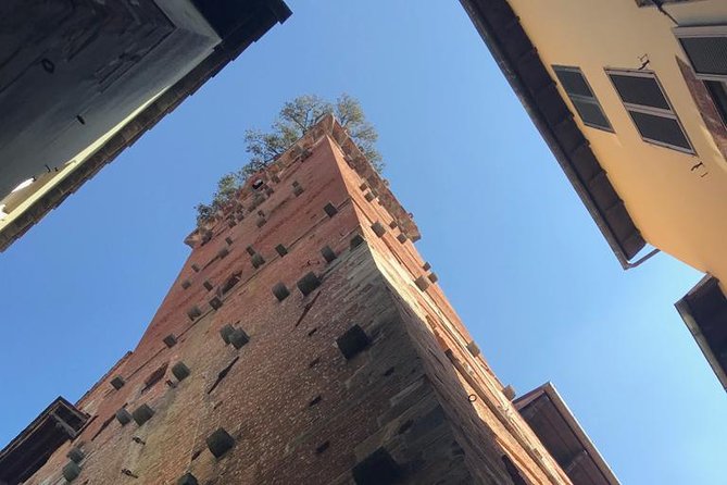 Pisa and Lucca from the Livorno Cruise Port - Is It Worth the Price?