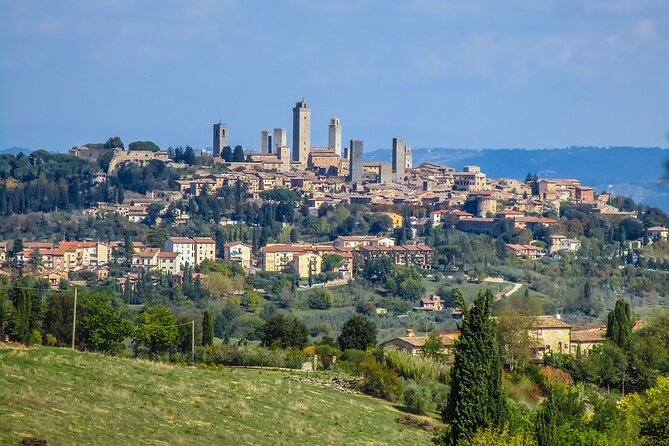 Pisa and San Gimignano Tour from Florence - Who Is This Tour Best For?