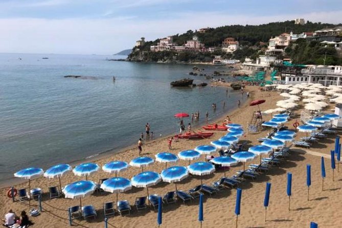 Pisa/Florence Airport Pick-up/Drop-off to Castiglioncello - Cost and Value Analysis