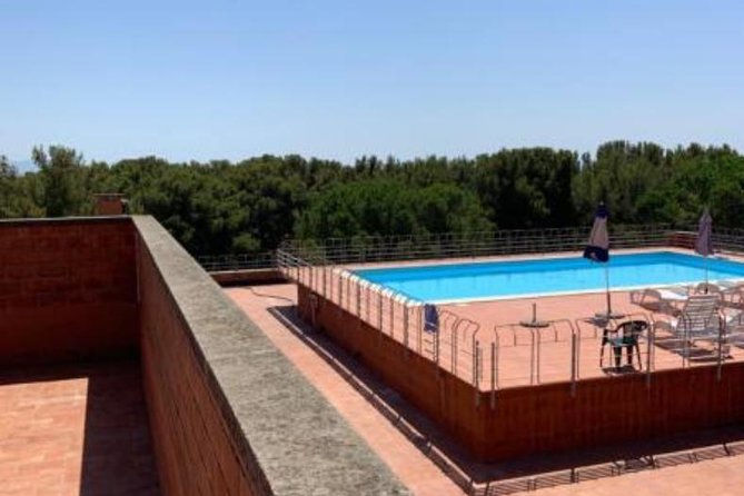 Pisa/Florence Airport Pick-up/Drop-off to Castiglioncello - Ideal Travelers for This Service