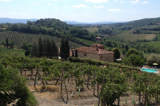 Pisa & Florence highlights shore excursion from Livorno port - Who Will Love This Tour?