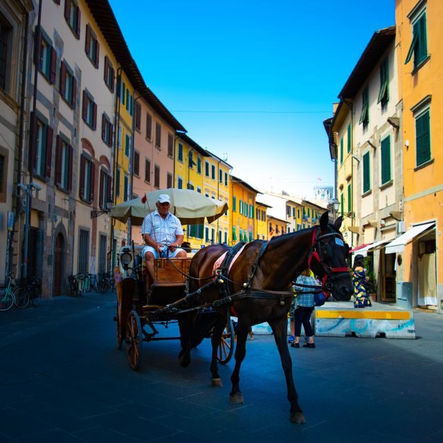 Pisa: Half-Day Private Discovery Tour - An Introduction to Pisa’s Charm and Practicality