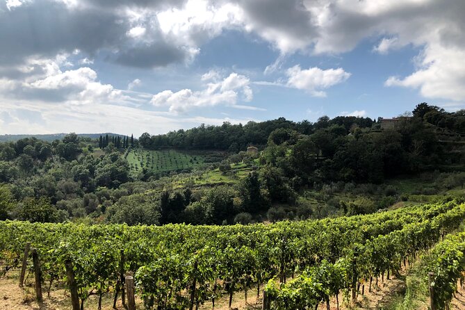 Pisa, Lucca & Winery Private Tour from Livorno port - Exploring Pisa: The World-Famous Leaning Tower