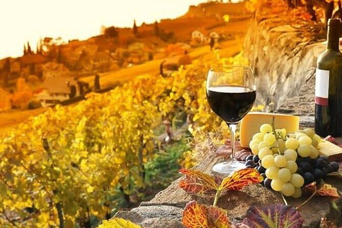 Pisa, Siena and San Gimignano Day Trip with Lunch & Wine Pairing - Who Should Consider This Tour?