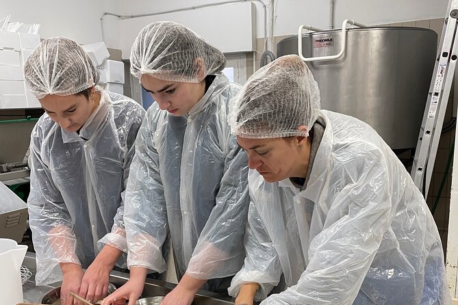 Pisa Small Group Cheese Making & tasting experience (max 6people) - Key Points