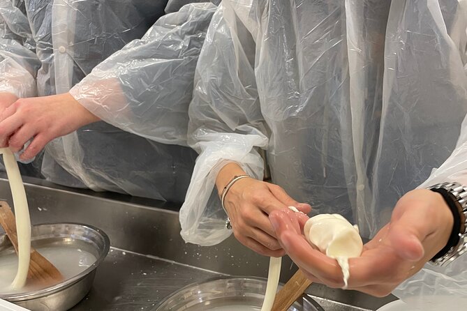 Pisa Small Group Cheese Making & tasting experience (max 6people) - Authenticity and Value