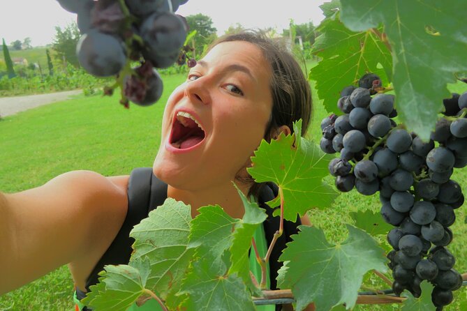 Pisa, Vinci, Tuscany, Wine tasting all in one day! - Small Group - Practical Considerations and Value