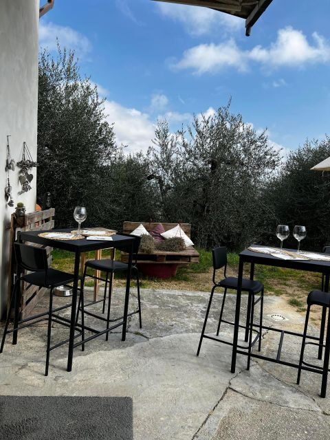 Pisa: Winery Tour and Wine Tasting with Local Food Pairing - Exploring the Experience: What to Expect