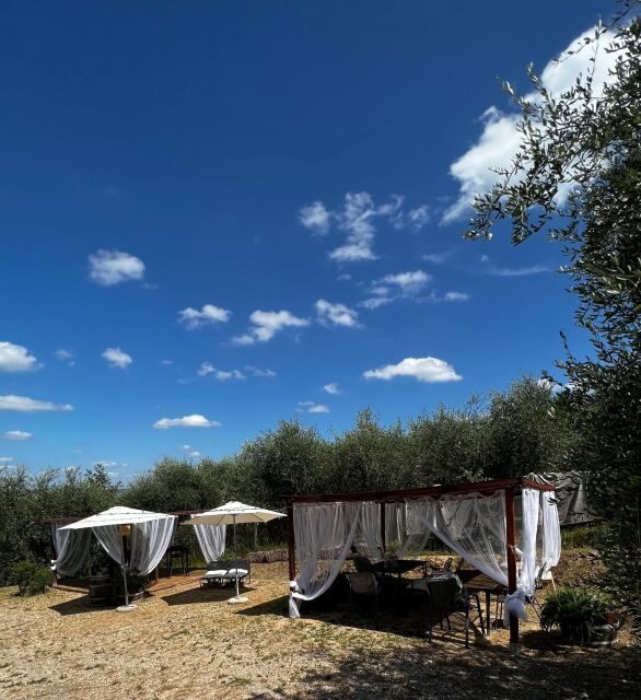 Pisa: Winery Tour and Wine Tasting with Local Food Pairing - The Value of This Tour