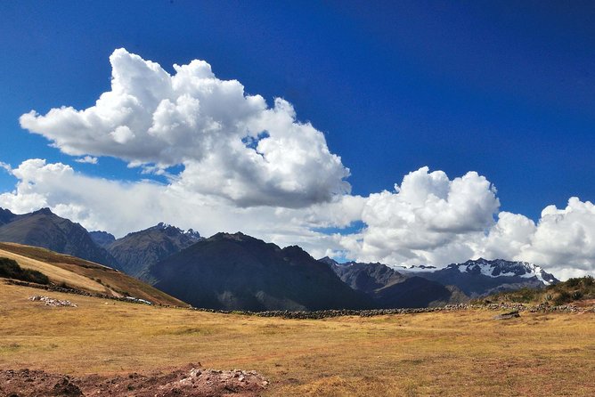 Pisac Indian Market and Ollantaytambo Fortress With Lunch - Customer Feedback and Recommendations