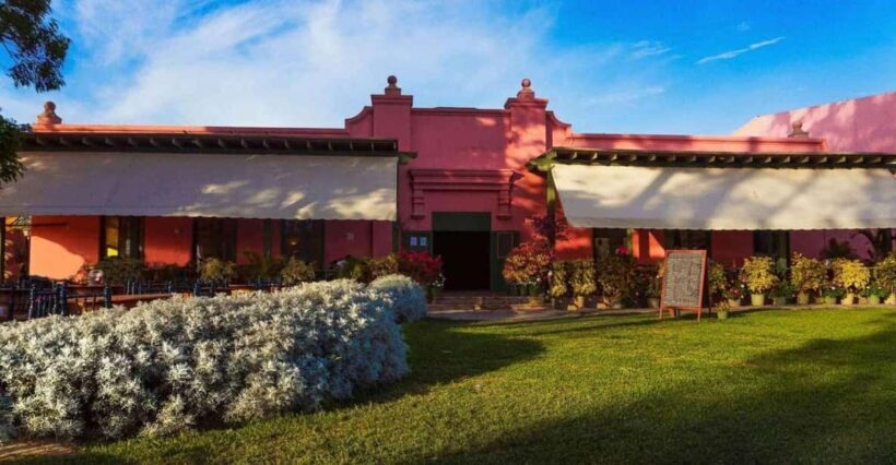 Pisco and Wine Tour at Night in Ica - Who Should Think Twice